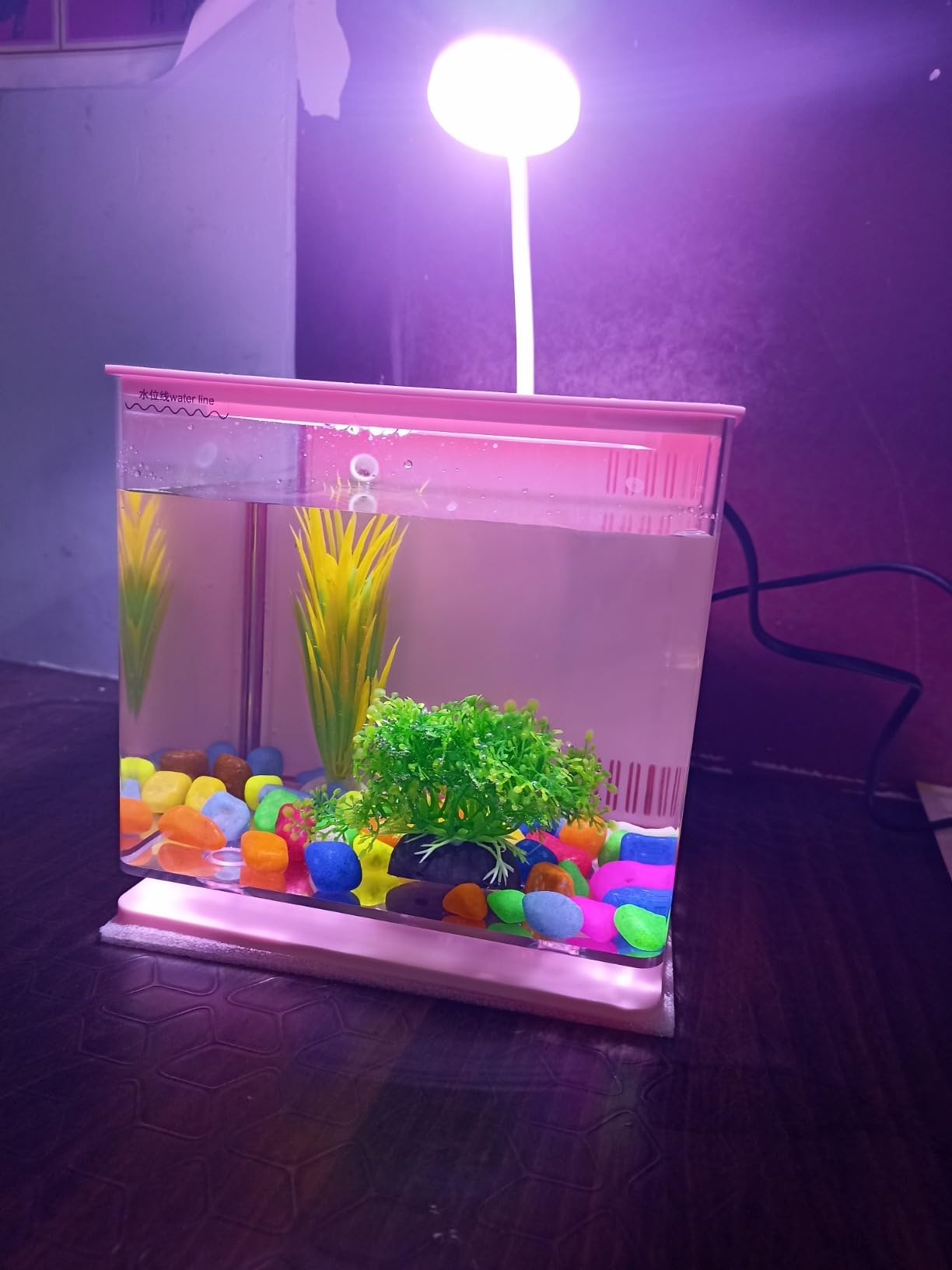 Bluepet BL-06 Modern Fish Tank with Curved Edge Design – Hidden Back ...