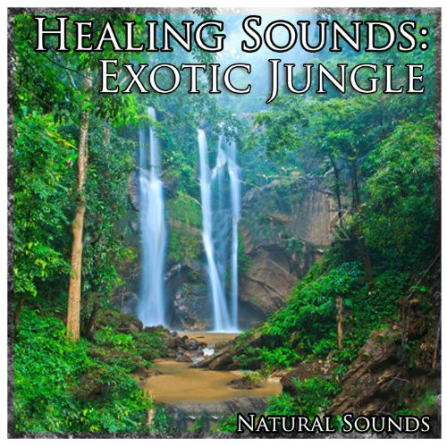 Amazon.com: Healing Sounds: Exotic Jungle : Natural Sounds: Digital Music