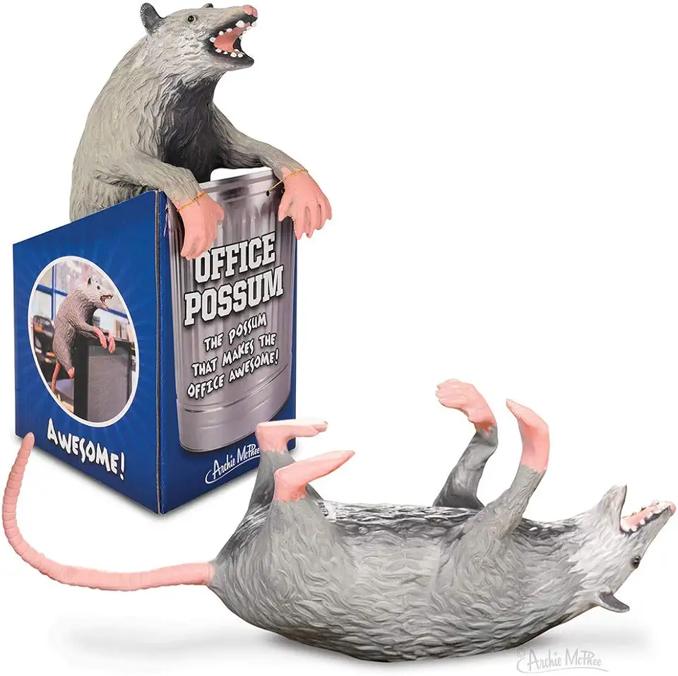 Where Do Opossums Nest: A Guide To Their Preferred Habitat | PetShun