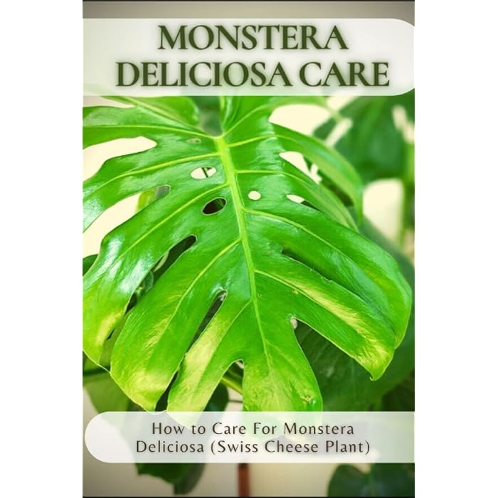 Buy Monstera Deliciosa Care: How to Care For Monstera Deliciosa (Swiss ...