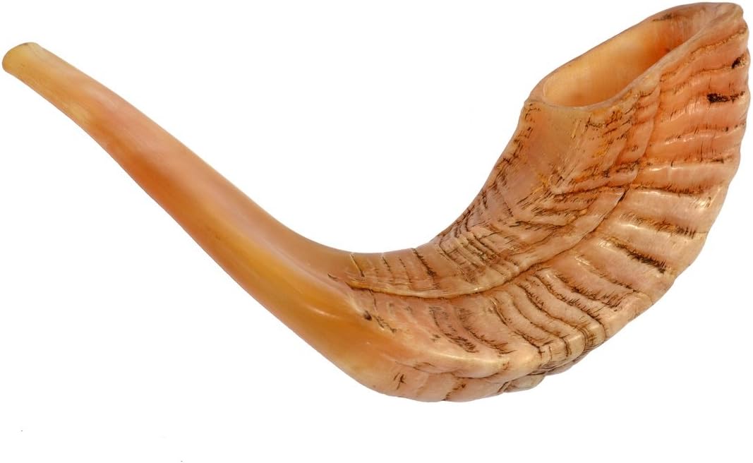 Amazon.com: SALE Kosher Rams Ram Horn Natural Shofar From Israel Chofar ...