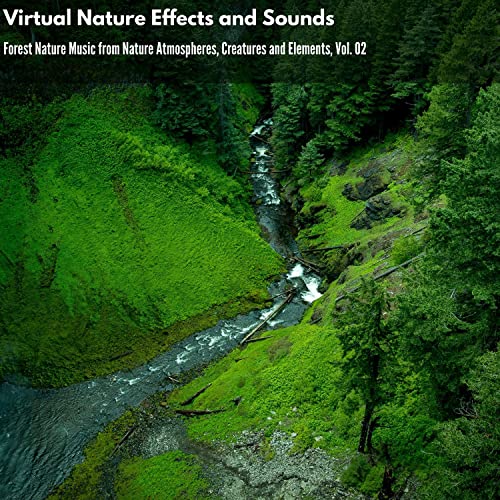 Play Virtual Nature Effects and Sounds - Forest Nature Music from ...