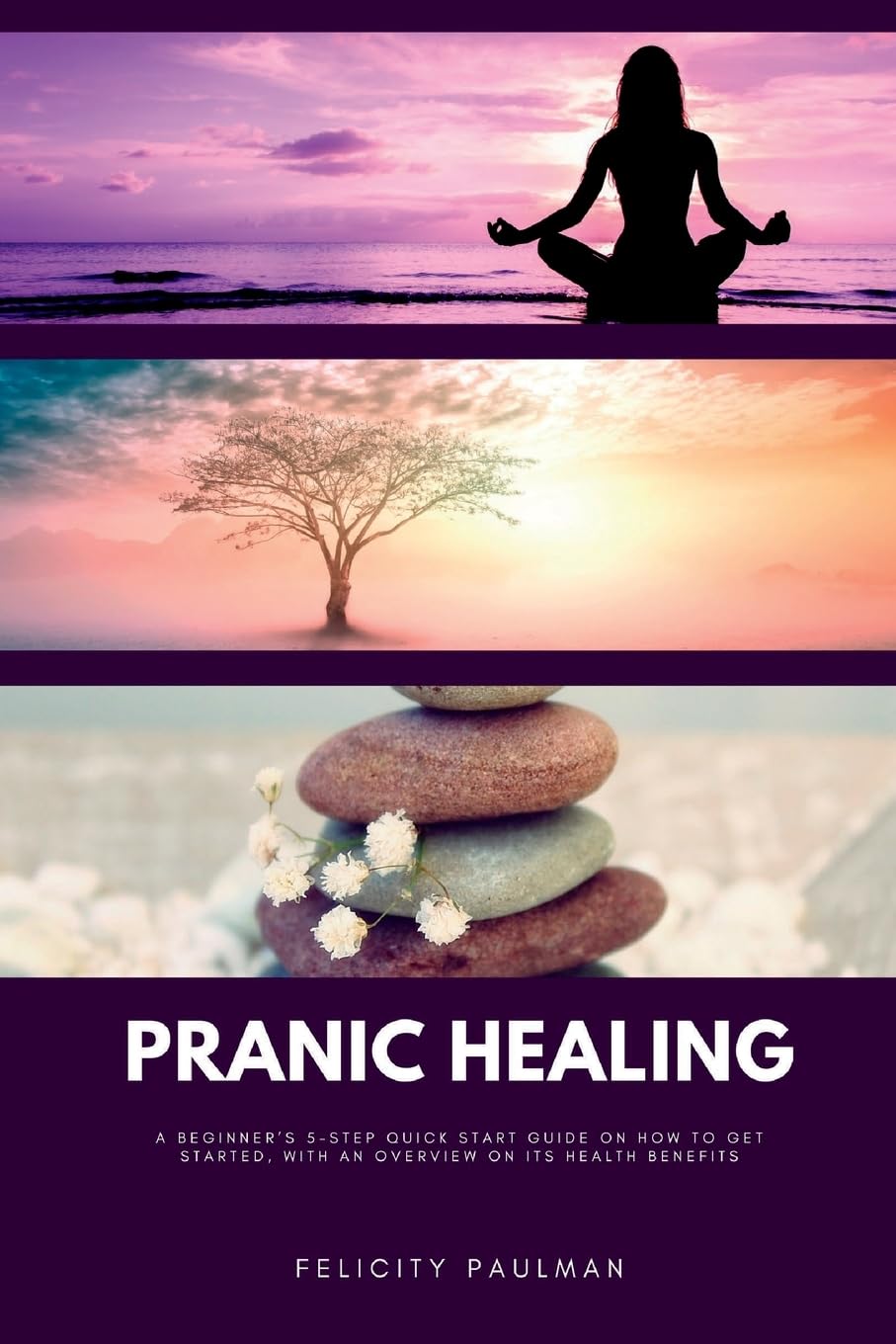 Pranic Healing: A Beginner's 5-Step Quick Start Guide on How to Get ...