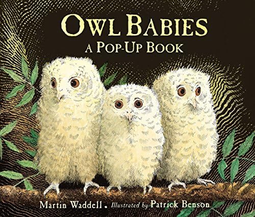 Owl Babies: Martin Waddell, Patrick Benson: 9781406352344: Amazon.com ...