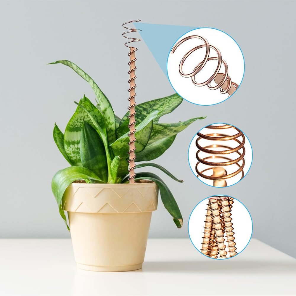 Wire Plant Growing Inside