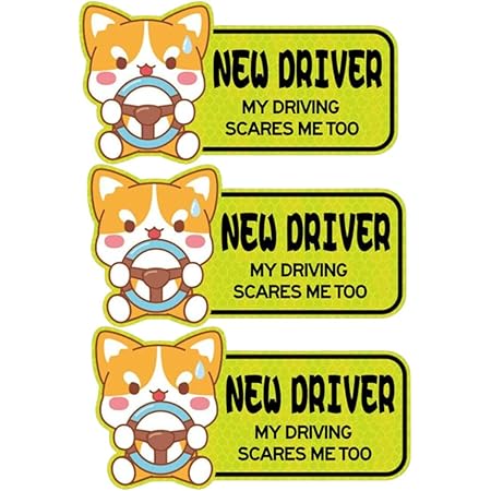 Amazon.com - 3PCS Student Driver Decal for Car Reflective New Driver ...