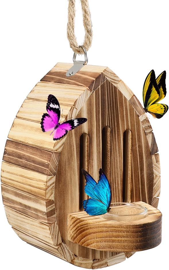 Amazon.com : Heartwood 096A Flutterbye Butterfly House : Patio, Lawn ...