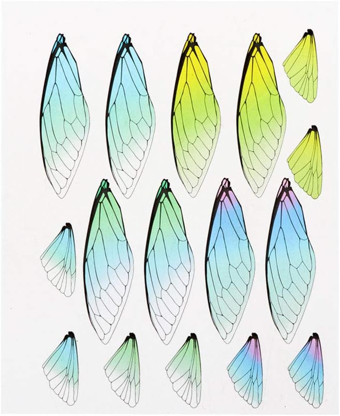 Amazon.com: Dragonfly cicada Wing Material -B