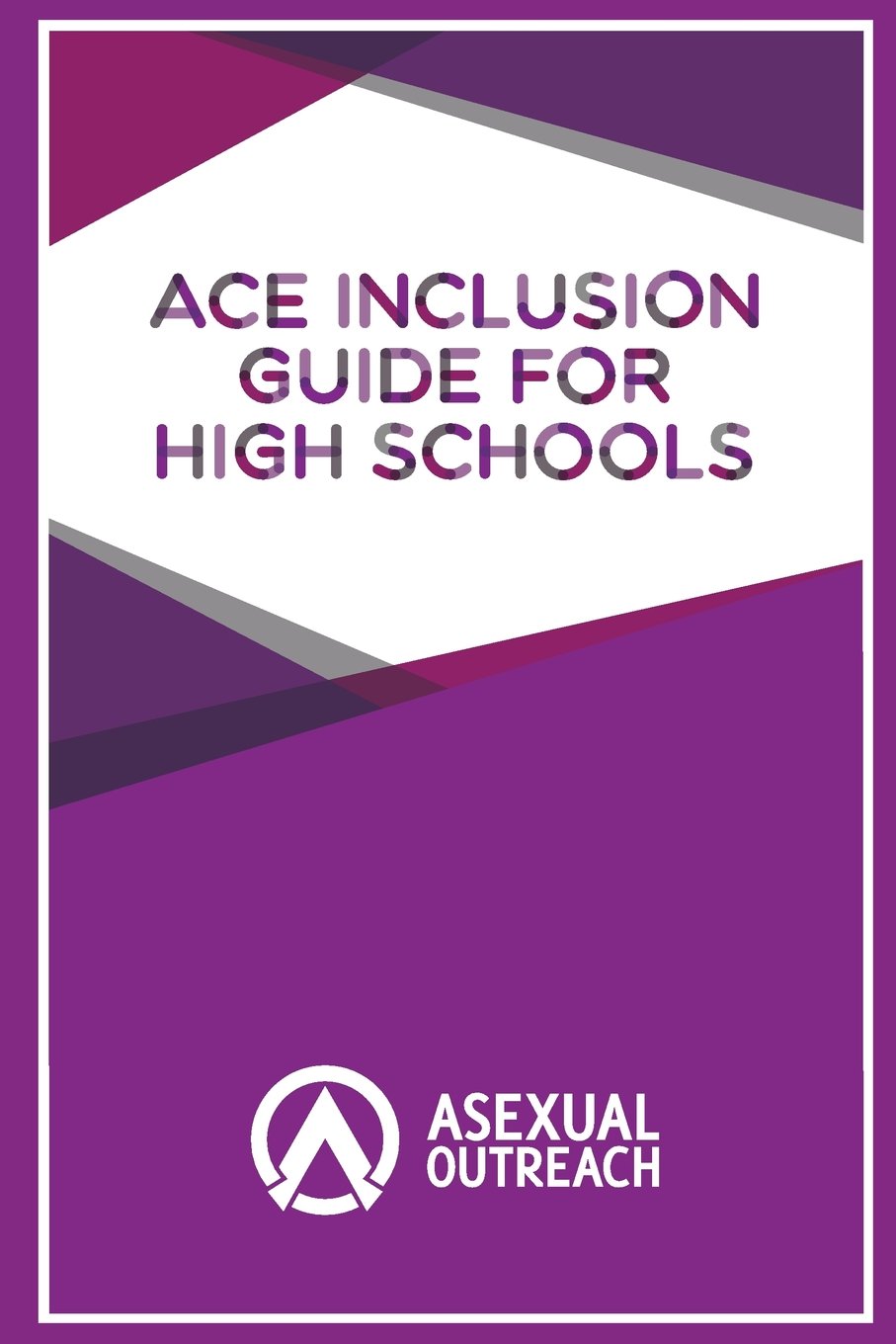 Amazon.com: Ace Inclusion Guide for High Schools: 9780692851623 ...