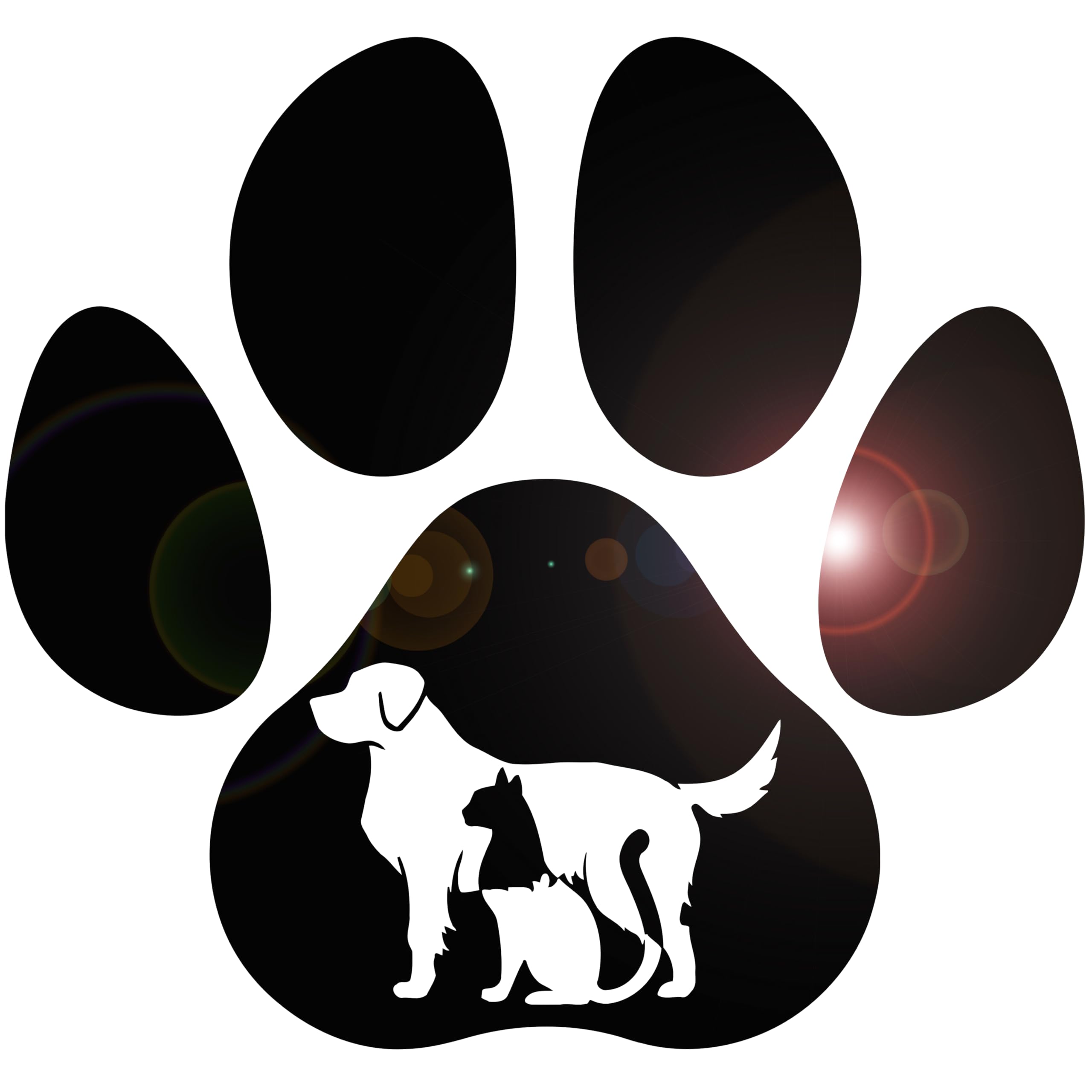 Amazon.com: Vinyl Wall Decal Paw Print Animals Dog Cat Pet Shop Vet ...