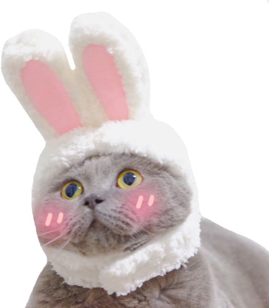 Amazon.com : PERTTY Plush Bunny Ears Pet Headband,Rabbit Ear Hat for ...