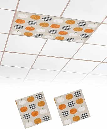 SEVENBABU Decorative Fluorescent Light Covers for Ceiling Lights ...