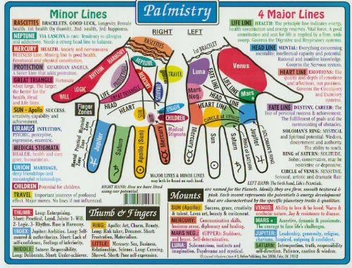 Amazon.com: Sacred Wisdom Chart: Palmistry : Industrial & Scientific