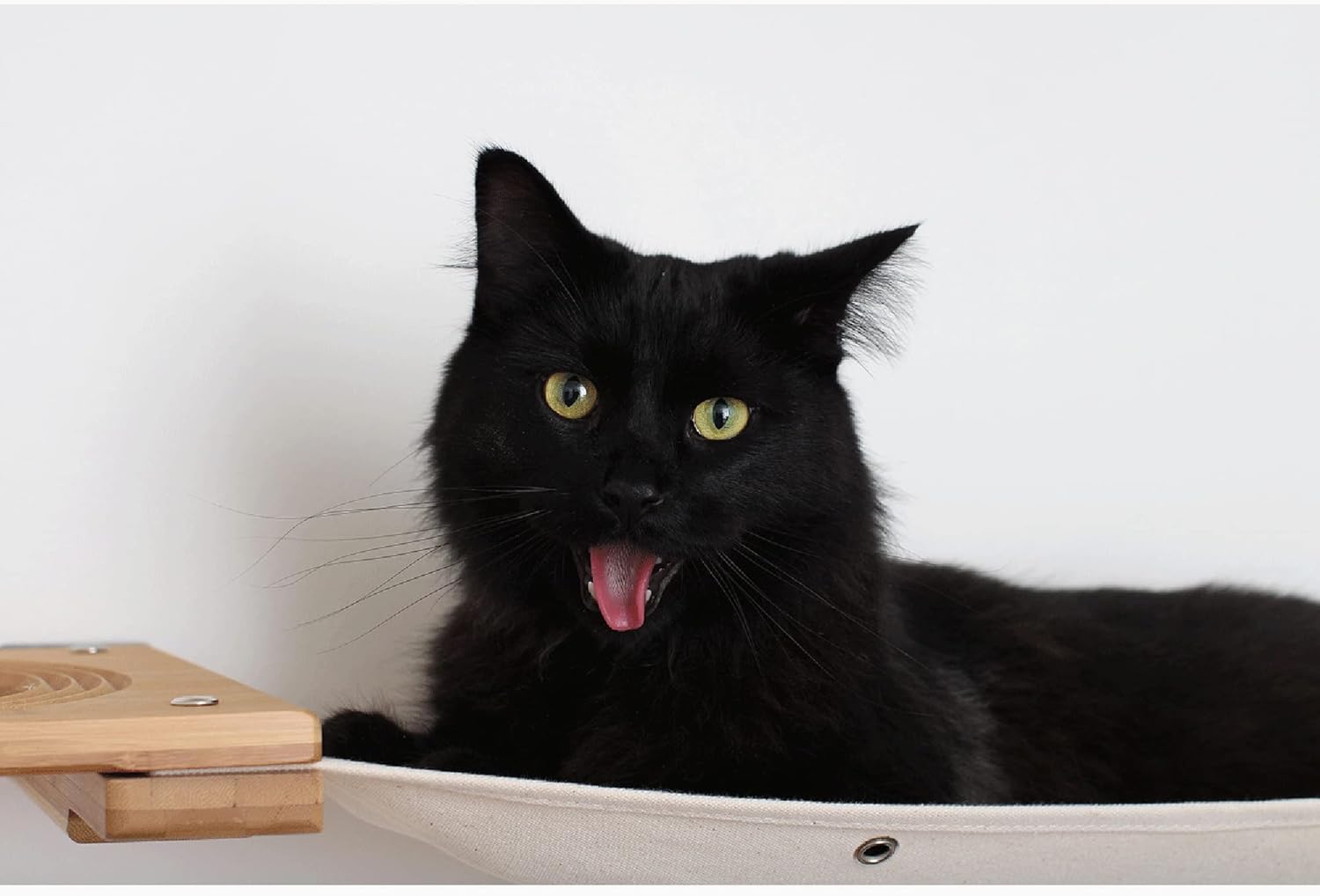 Catastrophic Creations The Maze Cat Condo – Laberinto para gatos hecho ...