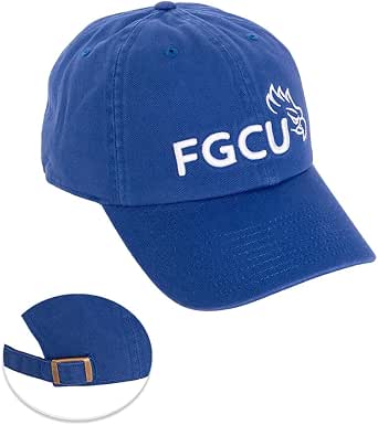 Amazon.com: Desert Cactus Florida Gulf Coast University Baseball Hat ...