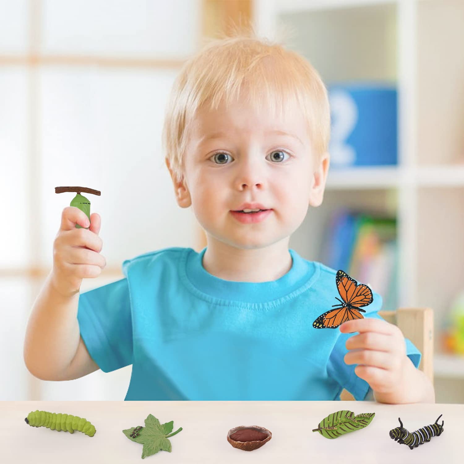 SIENON 4pcs Butterfly Life Cycle Toy Figurines and 4pcs Actias ...