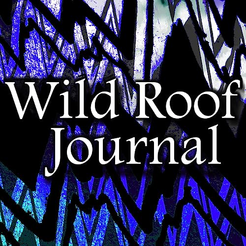 #1 - Issue 5 Artist Feature Interview with Caroline Russell