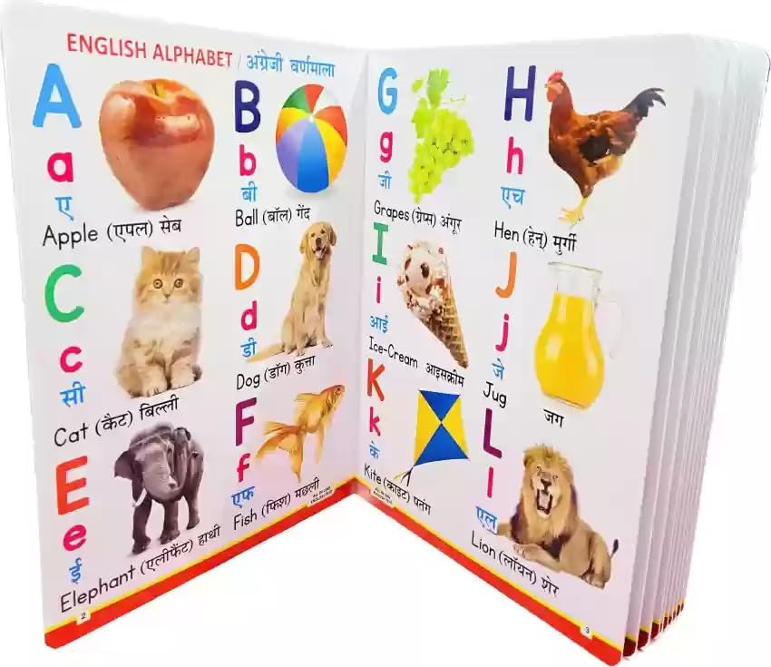 All in One Board Book for Children Learning & Educational Toy for Kids ...