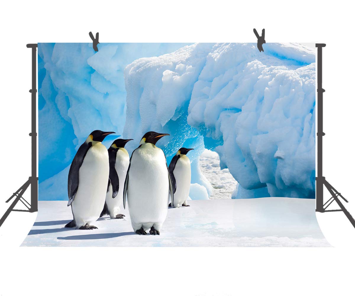 Feasrt Penguin Backdrop 7x5ft Ice World Photography Background Studio ...