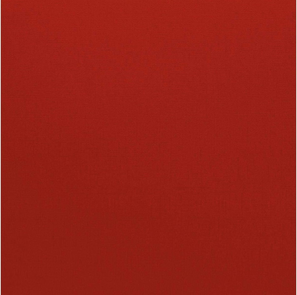 Bazzill Basics Paper 25 ScrapBooking Sheets Canvas Texture, Pomegranate ...