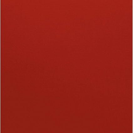 Bazzill Basics Paper 25 ScrapBooking Sheets Canvas Texture, Pomegranate ...