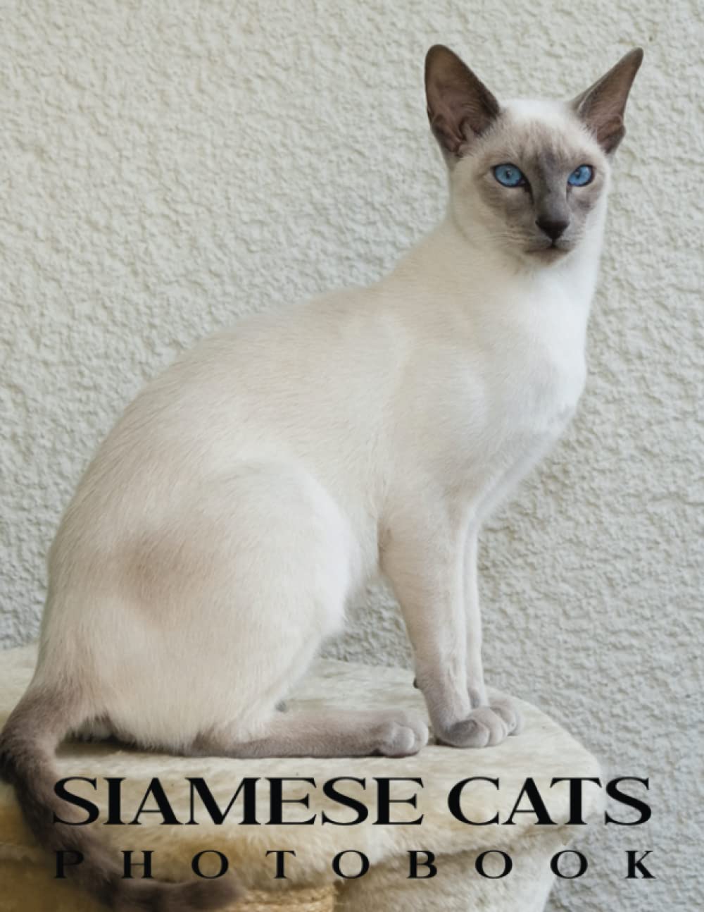 Buy Siamese Cats Photo Book: Compelling Photos Of Siamese Cats Collection As A Perfect Gift Idea ...