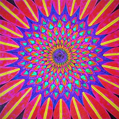 Amazon.co.jp: Bam. : Becca Ashley McGowan: Digital Music