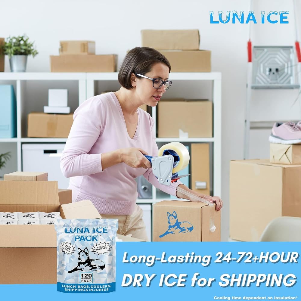 Snapklik.com : Ice Pack Bulk 12-600-Dry Ice For Shipping Frozen Food-Lunch Box Ice Packs-Slim ...