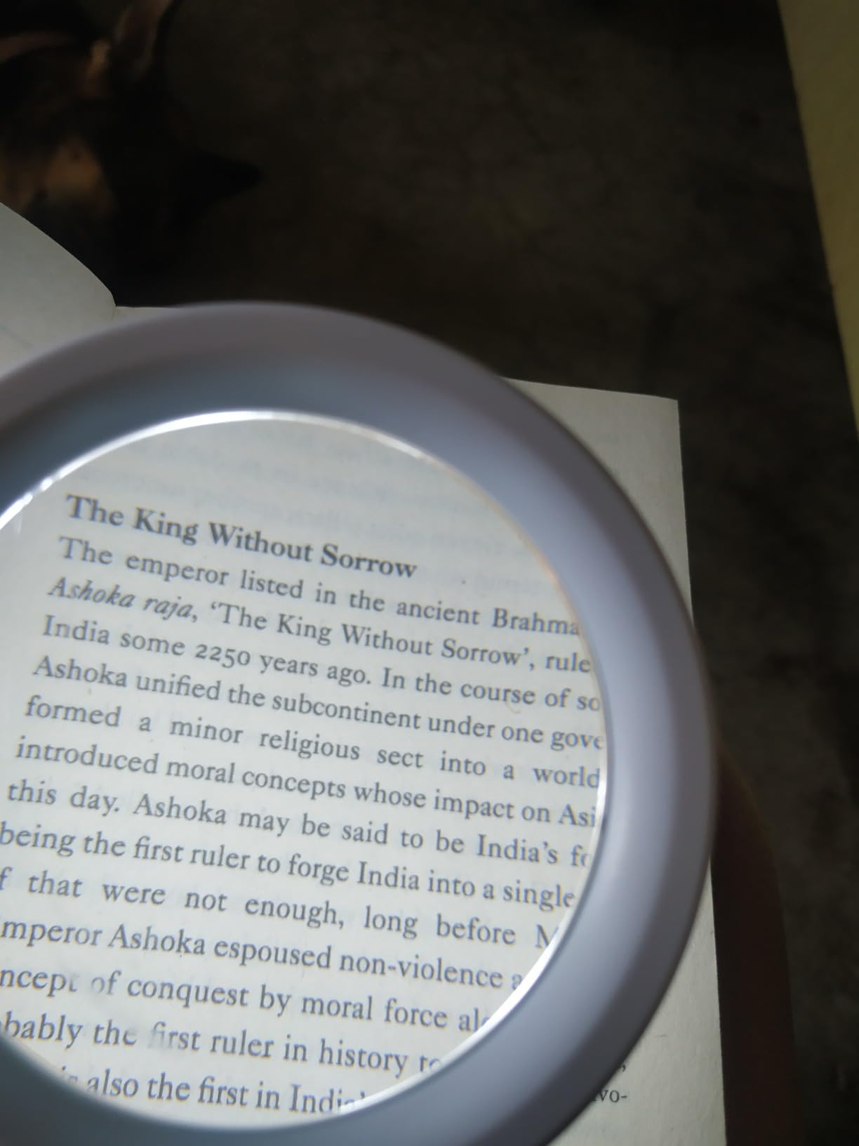 Relieftoᵀᴹ Magnifying Glass with 10 LED Light | Magnifier Lens for ...