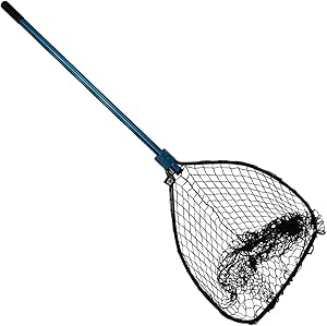 Amazon.com : Danielson Knotless Salmon Net, 30 x 33 with 48-Inch Handle ...