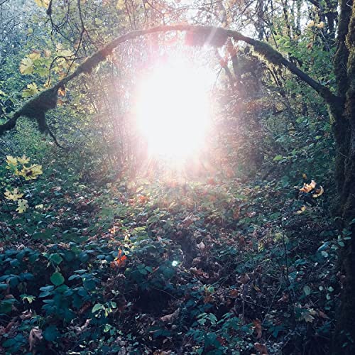 Écouter Sad Songs par Rowan Richard feat. Kidlo Bri, Tiffany Messner ...