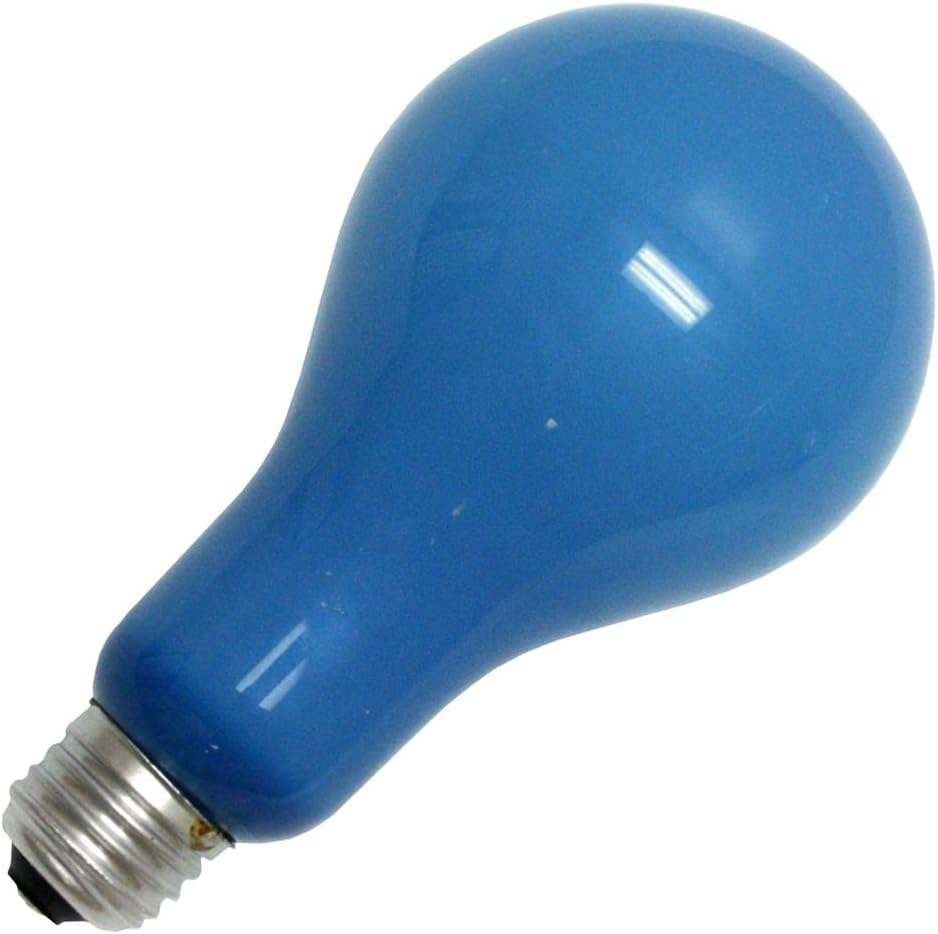 EiKO 01960 Model EBW Blue Inside Frosted Light Bulb, 120 Volts, 500 ...