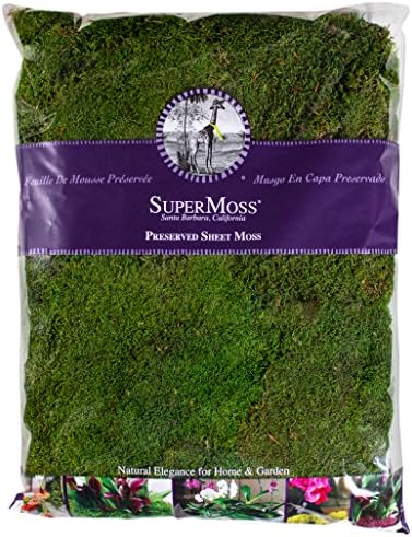 Amazon.com: Super Moss 21585 Preserved Sheet Moss, Fresh Green, 32 ...