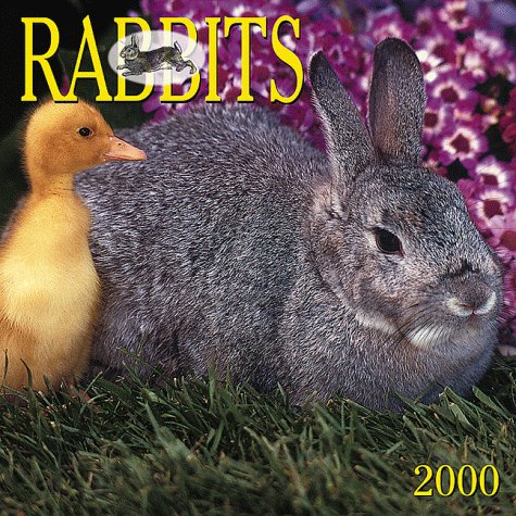 Rabbits 2000 Calendar: Browntrout Publishers: 9780763118235: Amazon.com ...