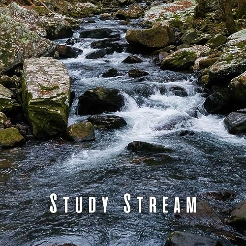 Amazon MusicでStreams & Mist, Afternoon Chill Out & Einstein Study Music AcademyのStudy Stream ...