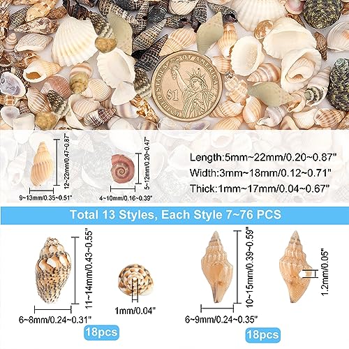 PH PandaHall Sea Shells, 466pcs 15 Style Spiral Shell Beads Undrilled Tiny Natural Sea Shell ...