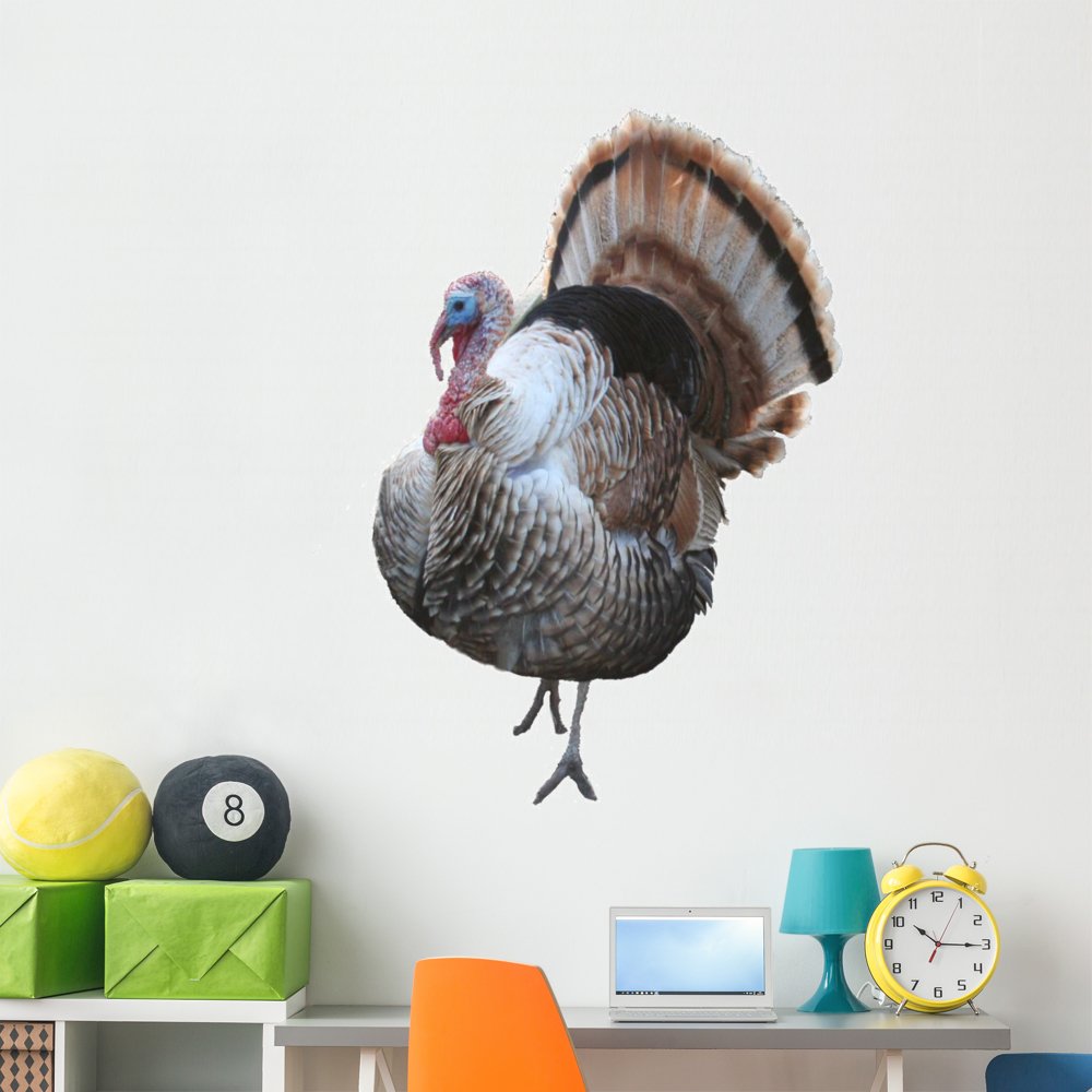 Turkey Wall Decals