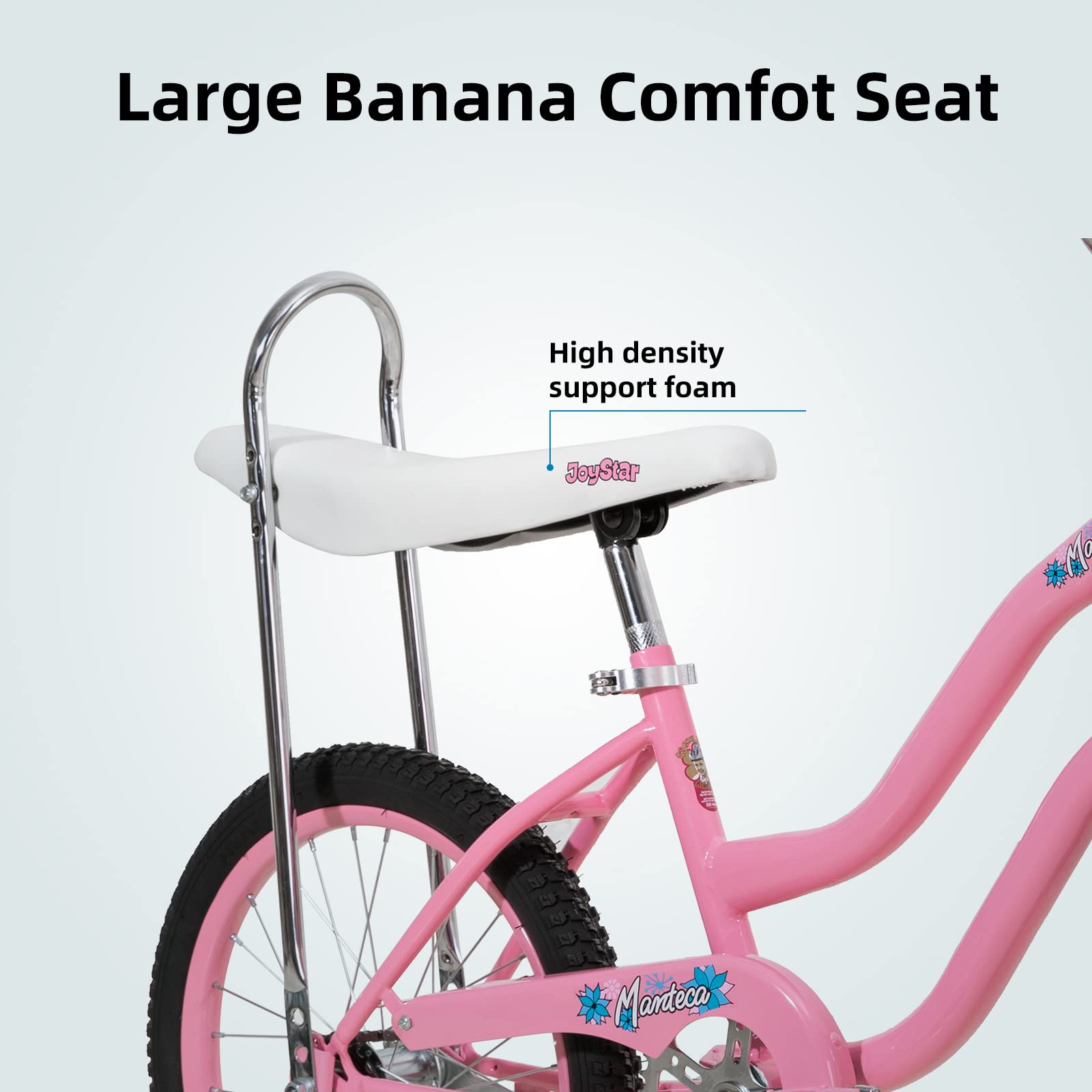 JOYSTAR 20 Inch Girls Bike with Training Wheels, Banana Seat Bike for ...