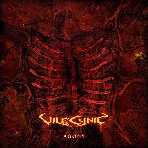 Play Agony by Vile Cynic on Amazon Music