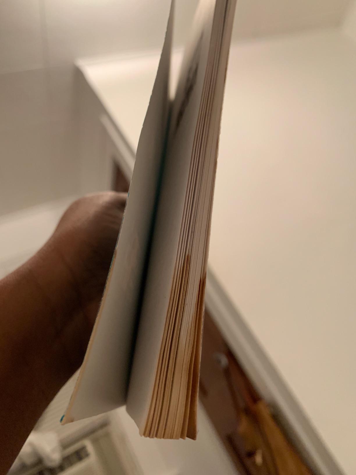 Amazon.com: Betty Neuman: The Neuman Systems Model (Notes on Nursing ...