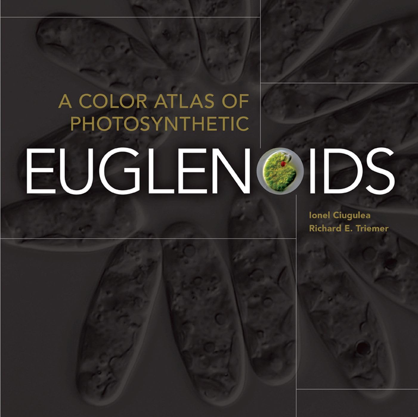 Amazon.com: A Color Atlas of Photosynthetic Euglenoids: 9780870138799 ...