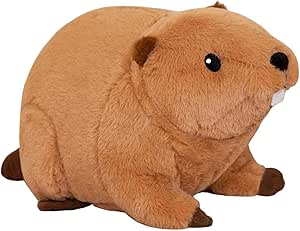 Amazon.com: Hofun4U Beaver Plush Pillow with Big Front Teeth, Beaver Stuffed Animal, for Kids ...
