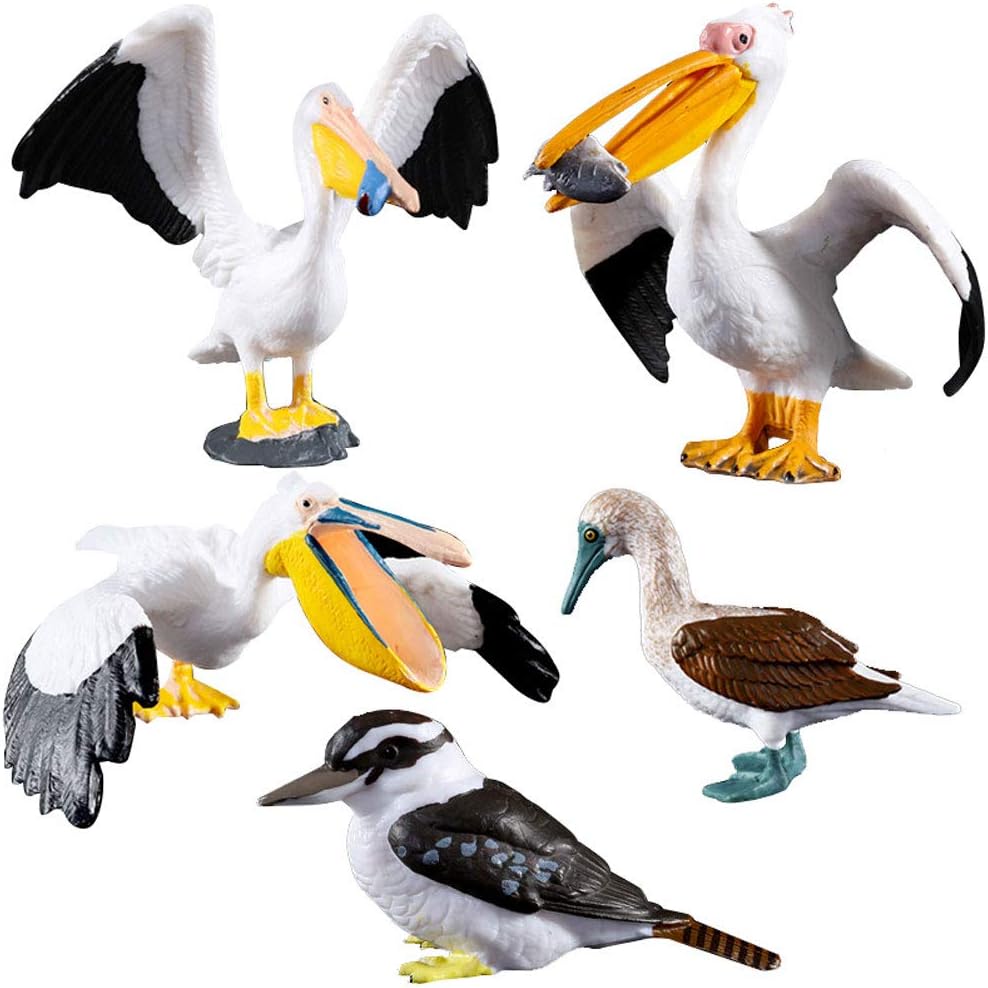 Amazon.com: HOMNIVE Bird Toys - 5pcs Realistic Birds Animal Figurines ...