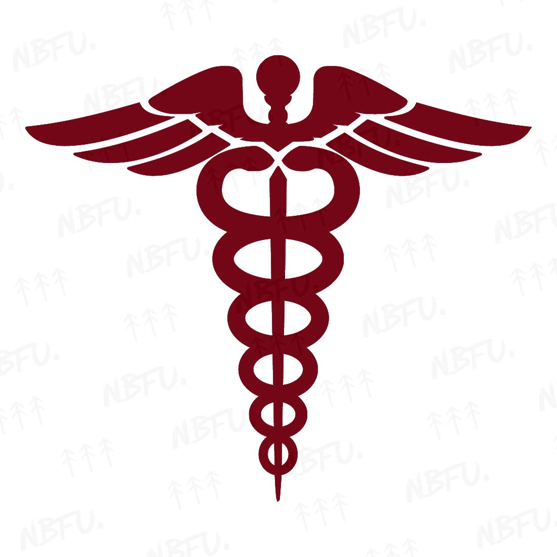 Nursing Caduceus