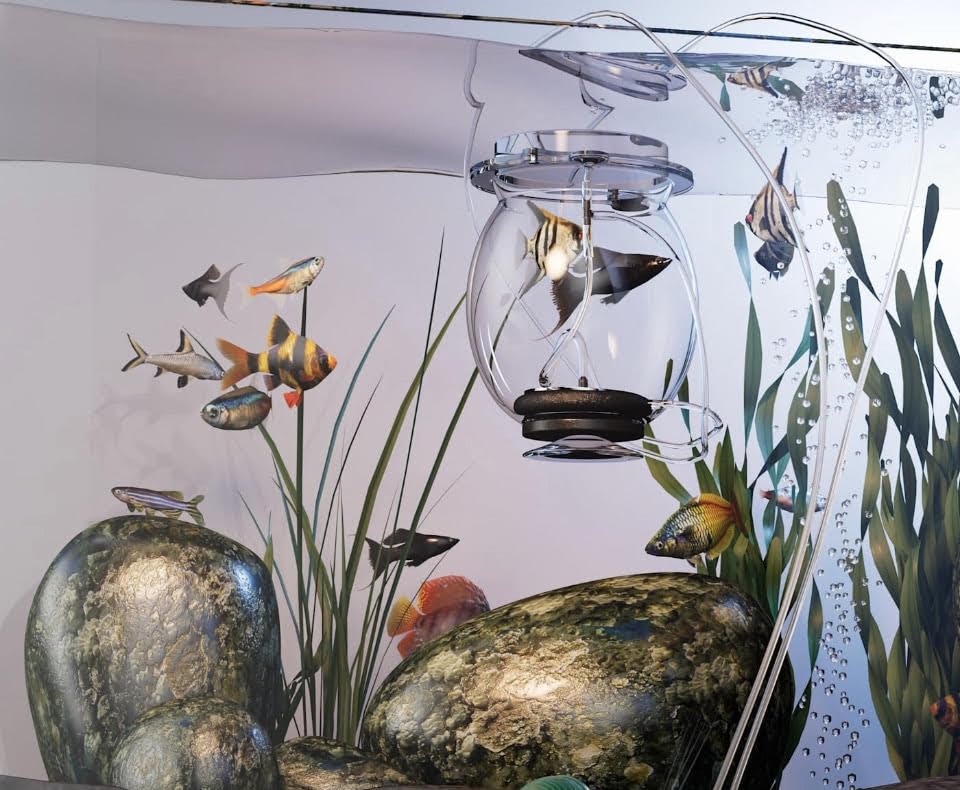 TankMatez 4.5 Inch Hydraulic Bubble Aquarium Acrylic Fish Trap With ...