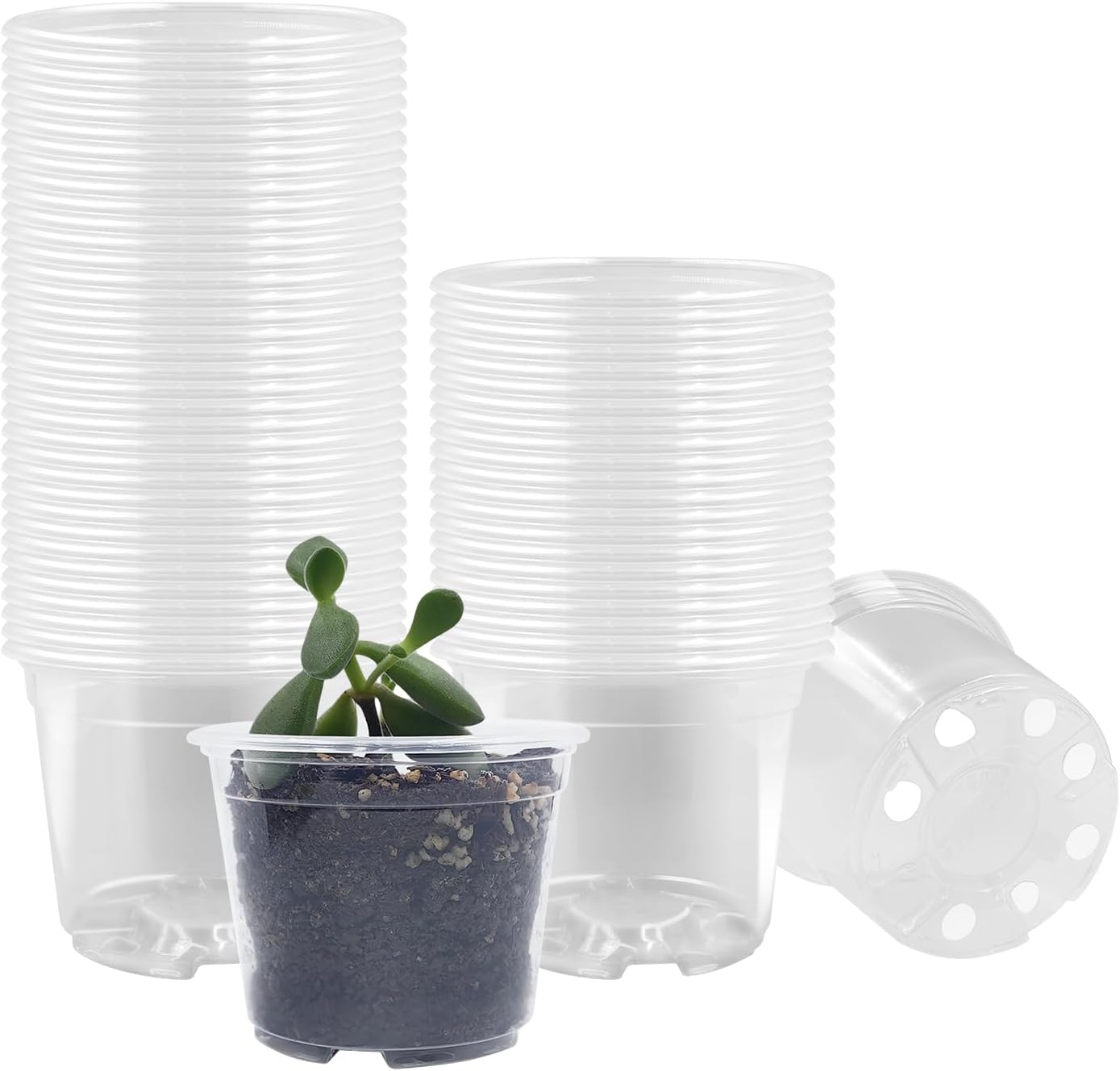 Amazon.com: VOKOY 150 Pack 3.2 Inch Clear Nursery Pots with 150 Plant ...