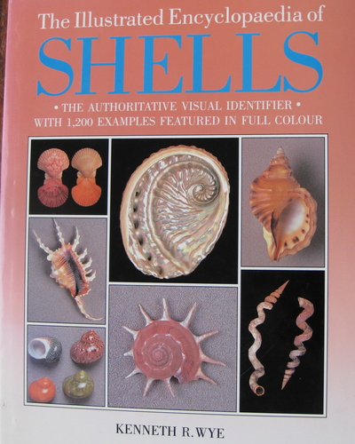 Illustrated Encyclopaedia of Shells: Amazon.co.uk: Wye, Kenneth R ...