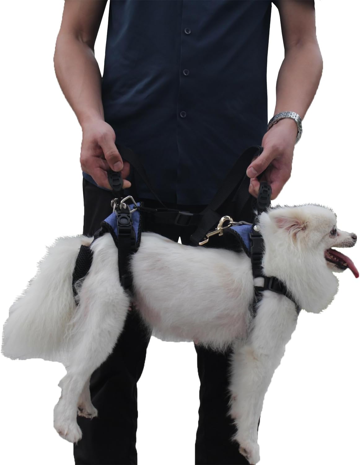 Amazon.com : Pro Full-Body Dog Lifting Harness – Supportive Dog No-Pull ...
