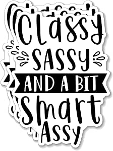 Amazon.com: (3PCS) Classy Sassy and A Bit Smart Assy Sticker for Phone ...