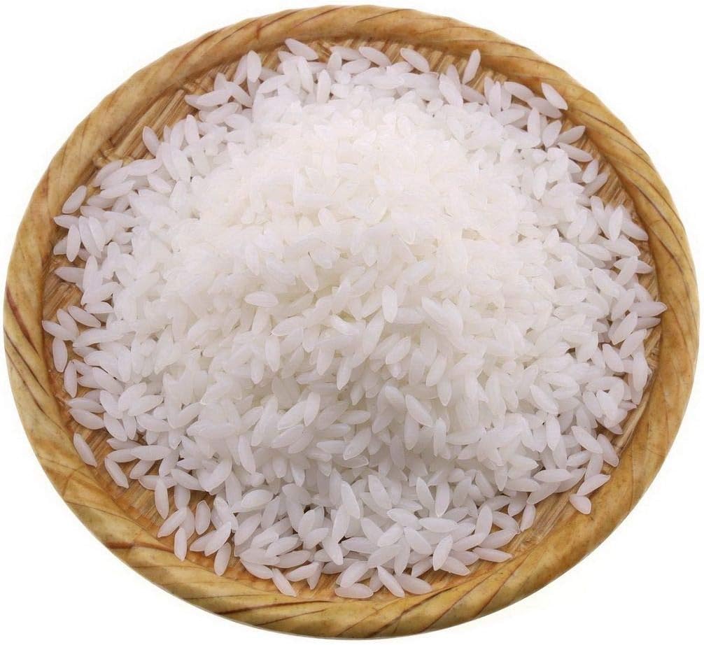 Amazon.com: Gresorth 100g Artificial White Rice Fake Vegetable ...